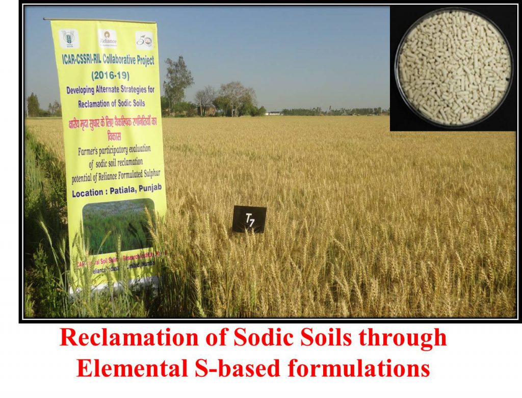 Reclamation of Solid Soils through Elemental S-based formulations ...